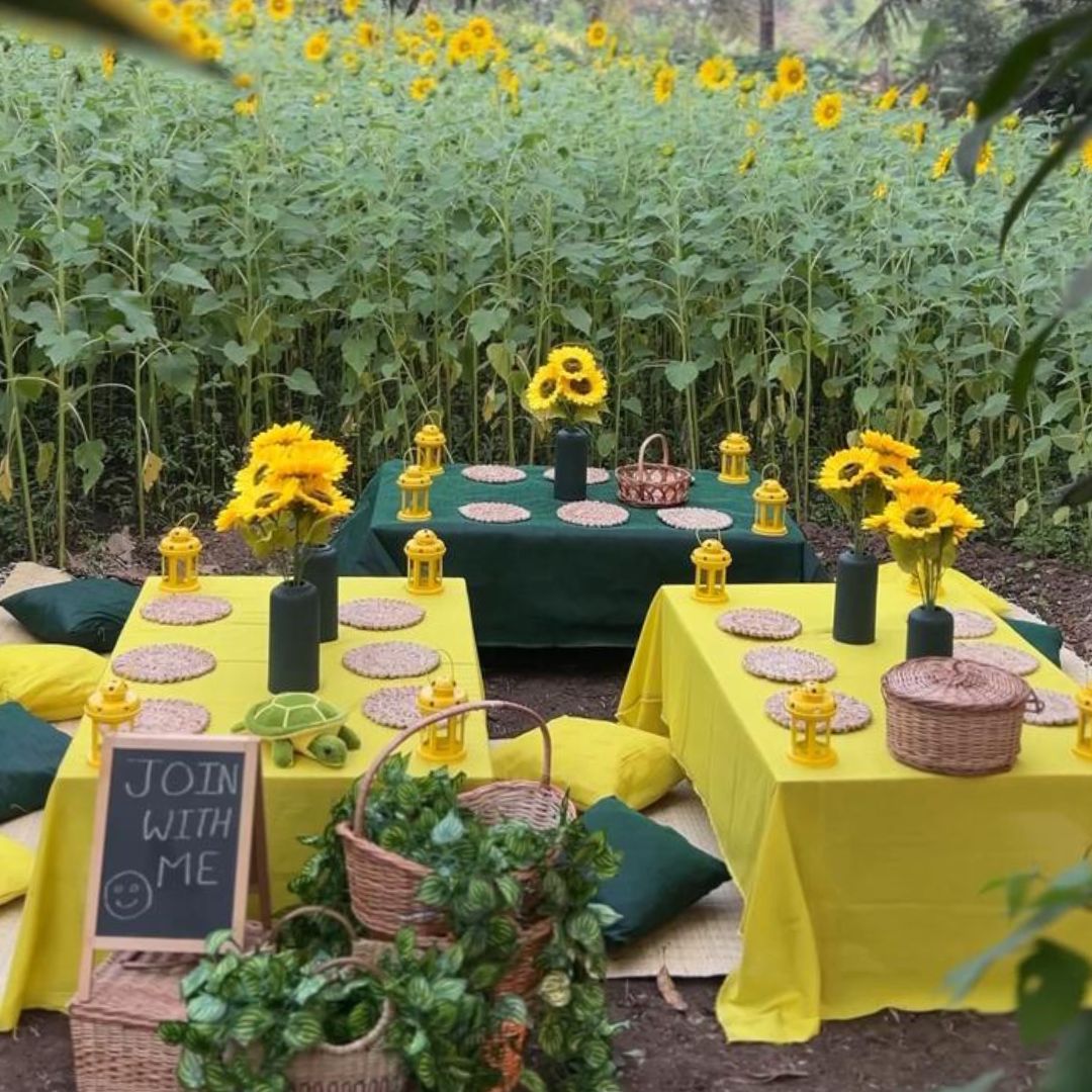 Birthday Celebration in a Sunflower Farm Near Mumbai | Join With Me ...